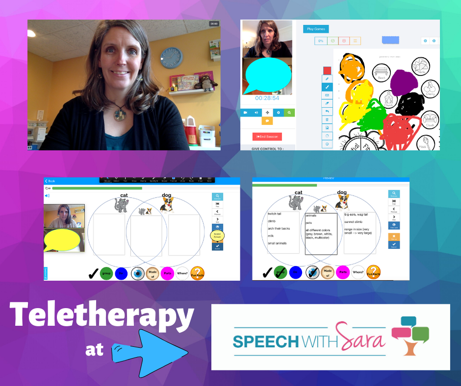 Tele-Practice Option for Speech Therapy | Speech with Sara LLC